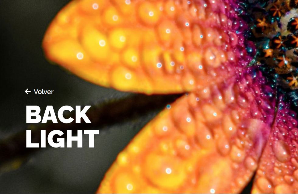 BACKLIGHT - Textil para impresión digital - Lafayette Digitex